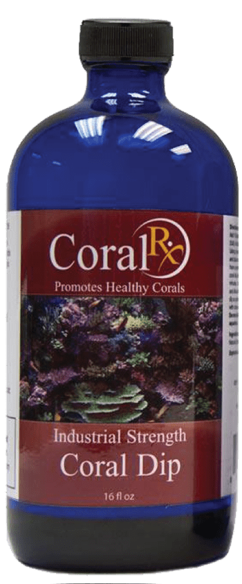 The Leading Coral Protection Dip - Coral RX